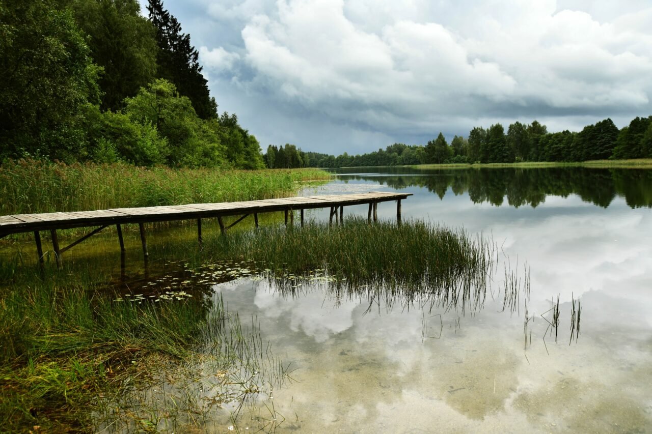 Dviračiu aplink Platelių ežerą